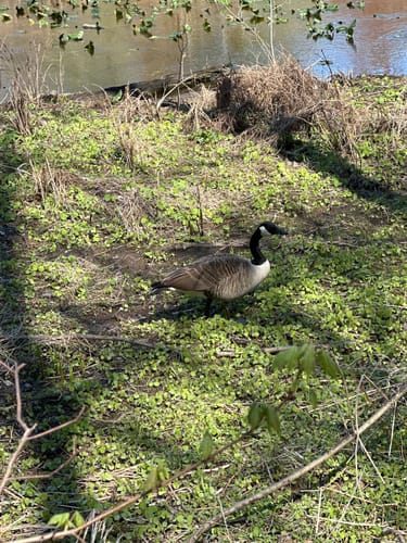 Best Hikes and Trails in Brecknock County Park | AllTrails
