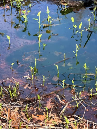 Best Hikes and Trails in Brecknock County Park | AllTrails