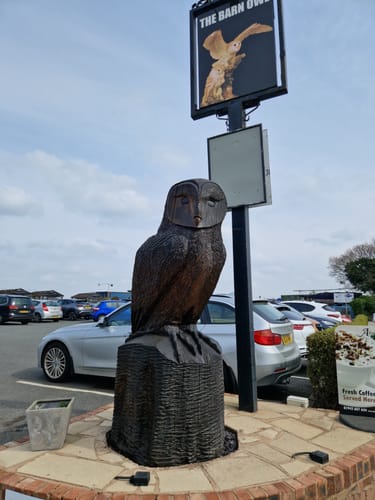 Best Hikes and Trails in Spud Wood | AllTrails