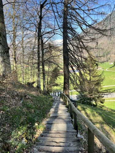La Forêt De Bouleyres Die Besten Trailrunning Strecken In 2023 Alltrails