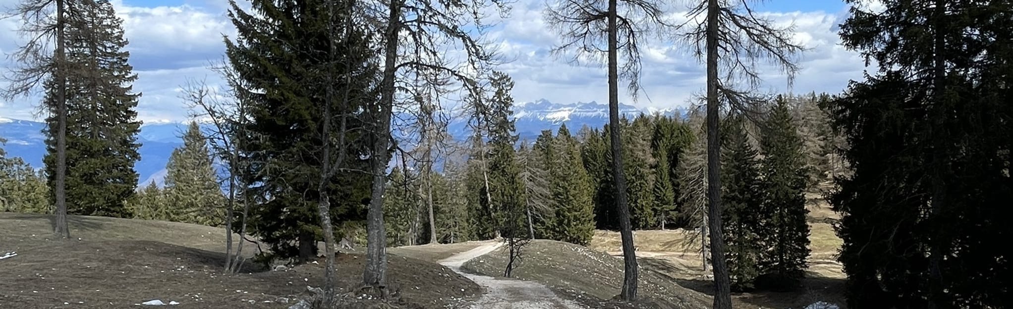 Passo della Mendola - Rifugio Mezzavia - Malga di Romeno, Trentino ...