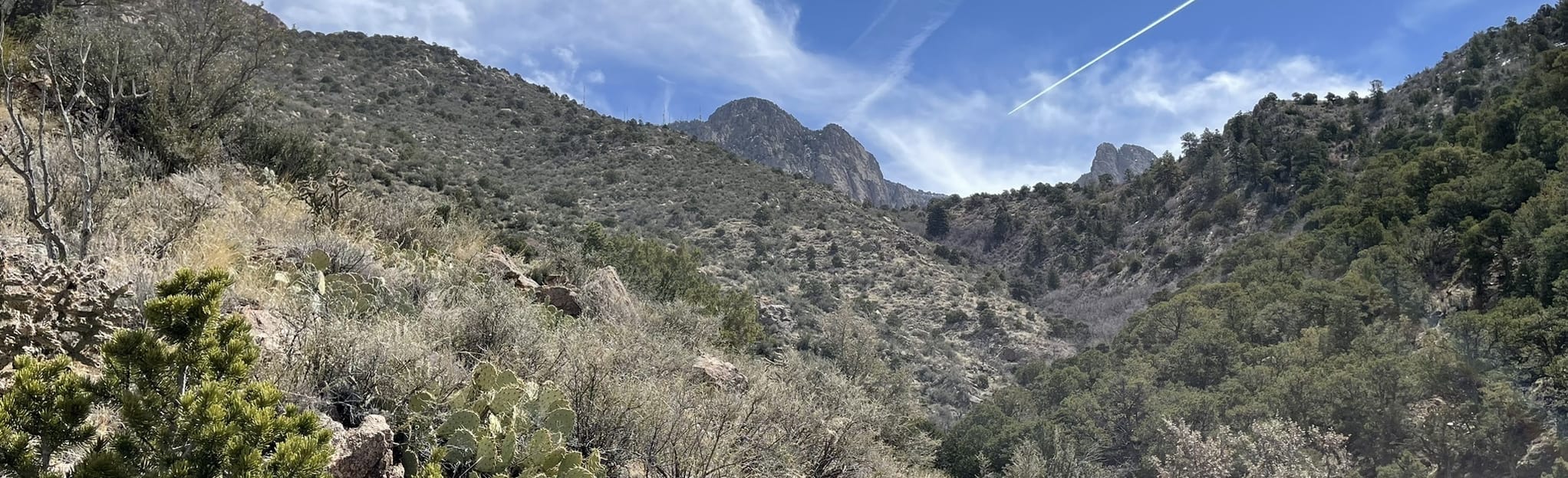 La Luz Trail #137 to Tramway Trail: 686 Reviews, Map - New Mexico ...
