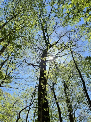 Best Hikes and Trails in High Ground Park | AllTrails