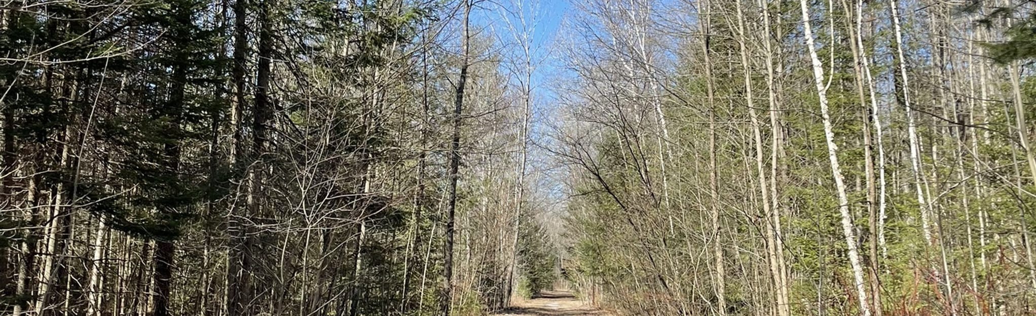 Zephyr South Tract Loop, Ontario, Canada - 35 Reviews, Map | AllTrails