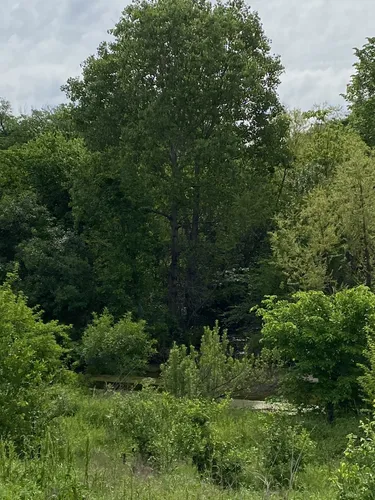 Best Hikes and Trails in Josey Ranch Lake Park | AllTrails