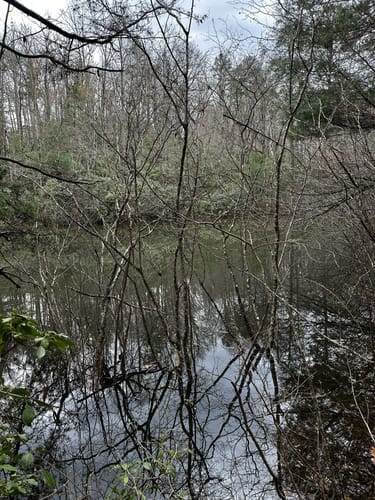 Best Hikes and Trails in Devils Fork State Park | AllTrails