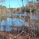 Georgetown-Rowley State Forest Loop Trail, Massachusetts - 704 Reviews ...