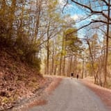 Currahee Mountain, Georgia - 564 Reviews, Map | AllTrails