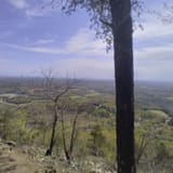 Currahee Mountain, Georgia - 564 Reviews, Map | AllTrails