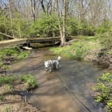 Anchorage Trail, Kentucky - 711 Reviews, Map | AllTrails