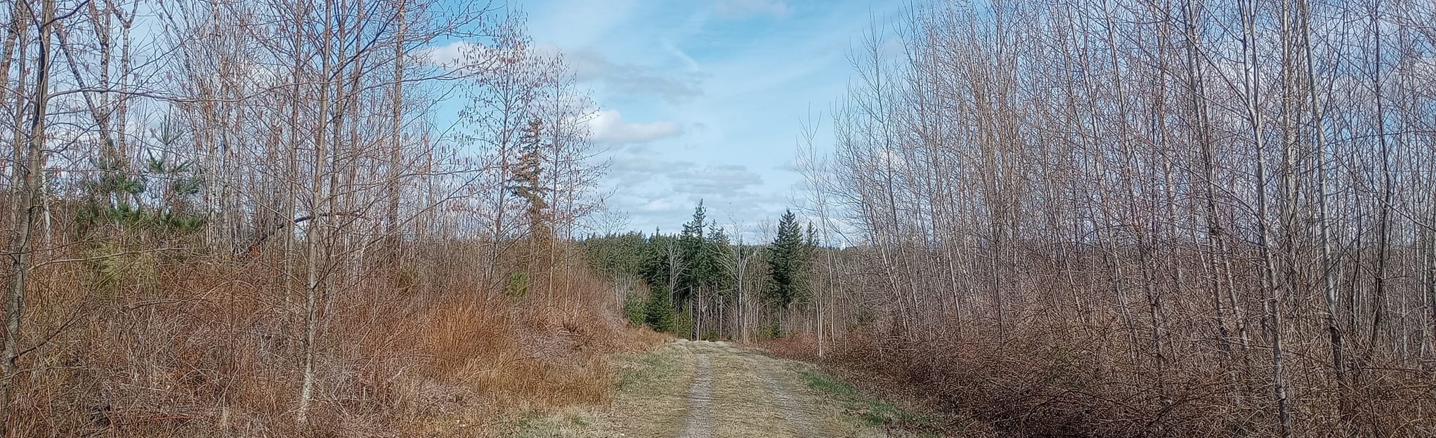 Real Life, Lumberjack, Powerlines, and Highway to Heaven Loop ...