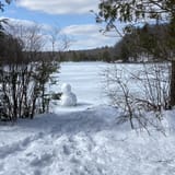 Benedict Pond Loop Trail, Massachusetts - 629 Reviews, Map | AllTrails