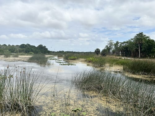 Best Hikes and Trails in Winding Waters Natural Area | AllTrails
