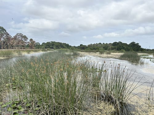 Best Hikes and Trails in Winding Waters Natural Area | AllTrails