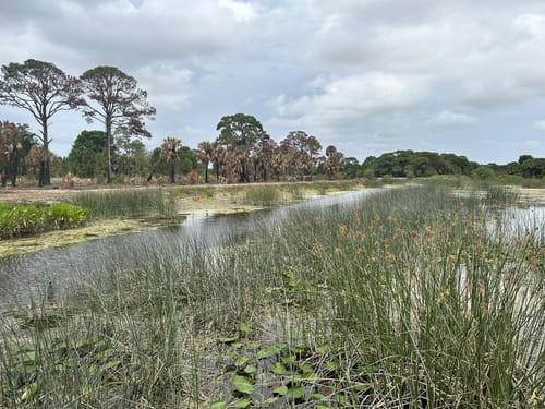 Best Hikes and Trails in Winding Waters Natural Area | AllTrails