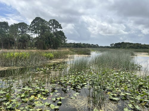 Best Hikes and Trails in Winding Waters Natural Area | AllTrails
