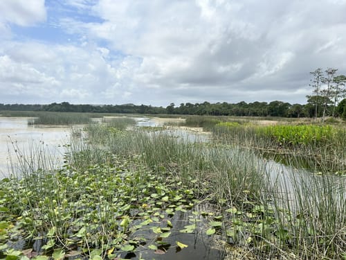 Best Hikes and Trails in Winding Waters Natural Area | AllTrails
