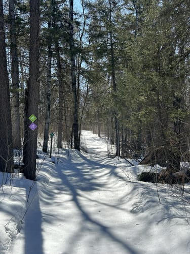 Best Hikes and Trails in Sandilands Provincial Forest | AllTrails