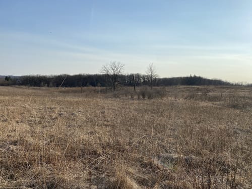 Best Hikes and Trails in Marengo Ridge Conservation Area | AllTrails