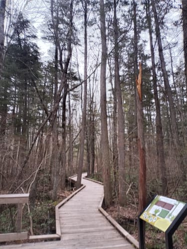 2023 Best Wheelchair Friendly Trails in Manchester Cedar Swamp Preserve ...