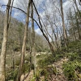 Compression Falls Trail, North Carolina - 326 Reviews, Map | AllTrails