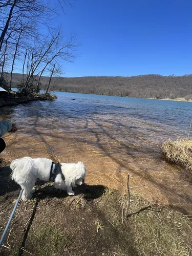 Best Hikes and Trails in Locust Lake State Park | AllTrails