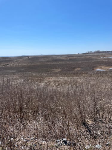 Best Hikes and Trails in Barn Island Wildlife Management Area | AllTrails