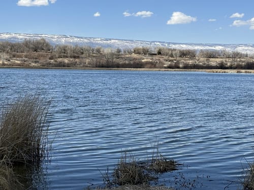 Best Hikes and Trails in Sweitzer Lake State Park | AllTrails