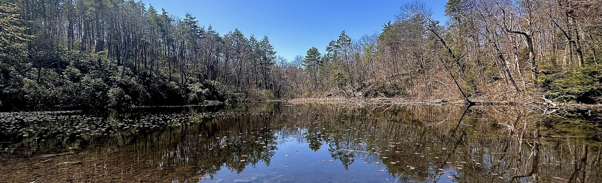 Lake Lenape to Totts Gap via Appalachian Trail: 484 Reviews, Map ...