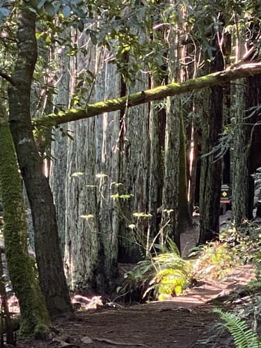 Best Hikes and Trails in Baltimore Canyon Open Space Preserve | AllTrails