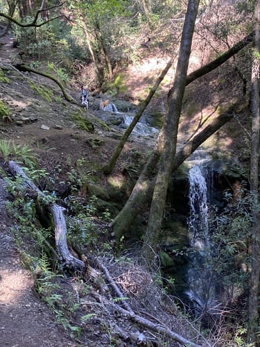 Best Hikes and Trails in Baltimore Canyon Open Space Preserve | AllTrails
