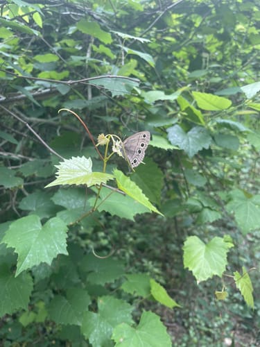 Best Hikes and Trails in Carter Park | AllTrails