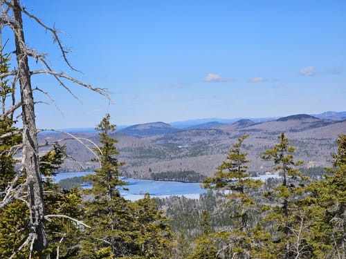 2023 Best trails in Dedham | AllTrails