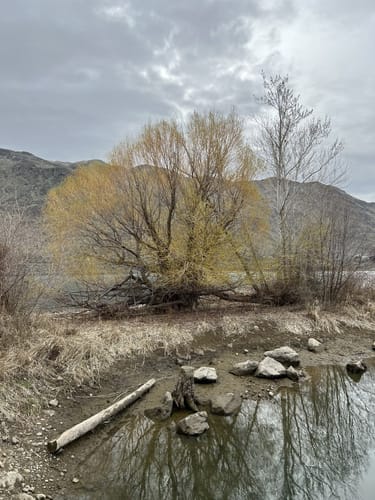 Best Hikes and Trails in Bebe Springs Wildlife Area | AllTrails