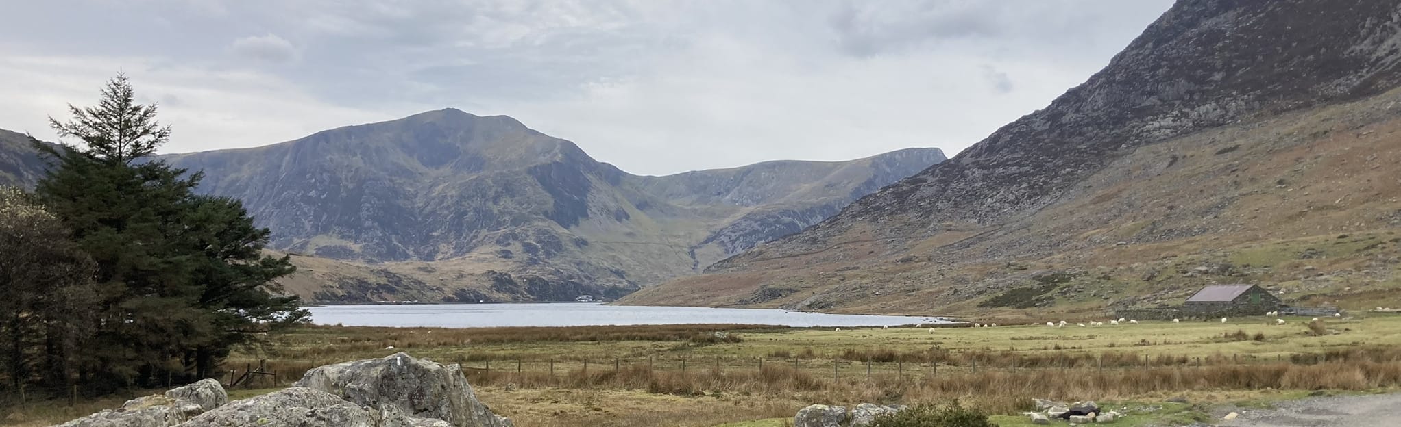 Llyn Ogwen Circular, Conwy, Wales - 57 Reviews, Map | AllTrails