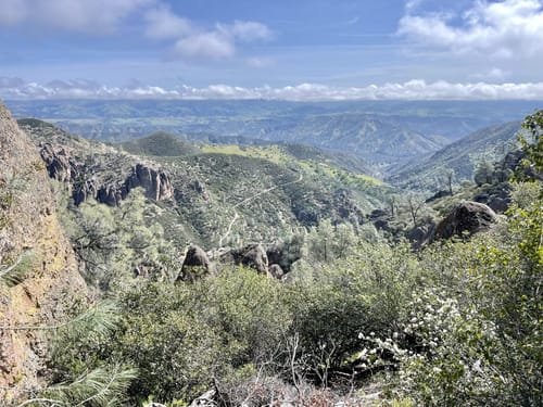 2023 Best Forest Trails in Soledad | AllTrails