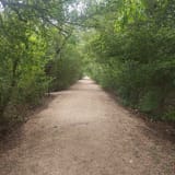 Sheldon Lake State Park Nature Loop, Texas - 200 Reviews, Map | AllTrails