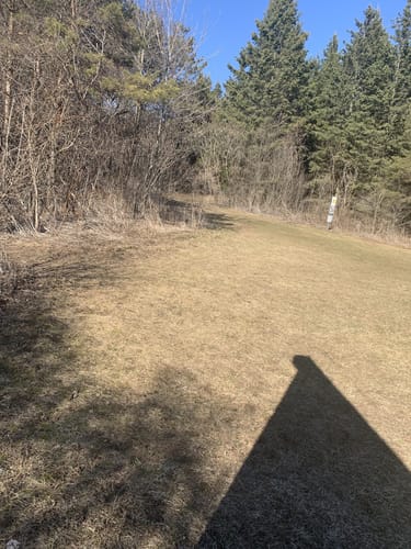 Best Hikes and Trails in Long Sault Conservation Area | AllTrails