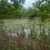 Sheldon Lake State Park Nature Loop, Texas - 245 Reviews, Map | AllTrails