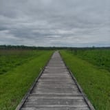 Sheldon Lake State Park Nature Loop, Texas - 245 Reviews, Map | AllTrails