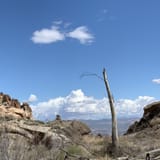 Grapevine Canyon Trail, Nevada - 485 Reviews, Map | AllTrails