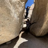 Grapevine Canyon Trail, Nevada - 485 Reviews, Map | AllTrails