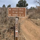 Stultz Trail, Colorado - 121 Reviews, Map | AllTrails