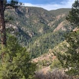 Stultz Trail, Colorado - 121 Reviews, Map | AllTrails