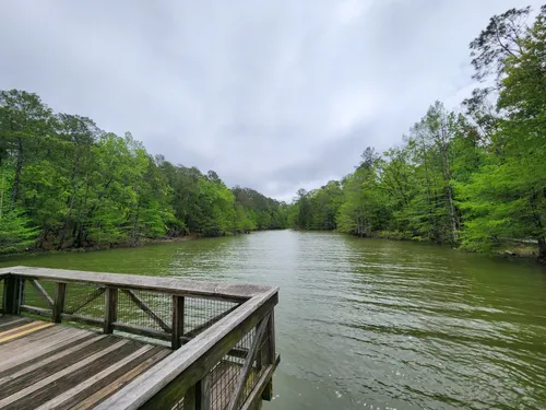 Best Hikes and Trails in South Toledo Bend State Park | AllTrails