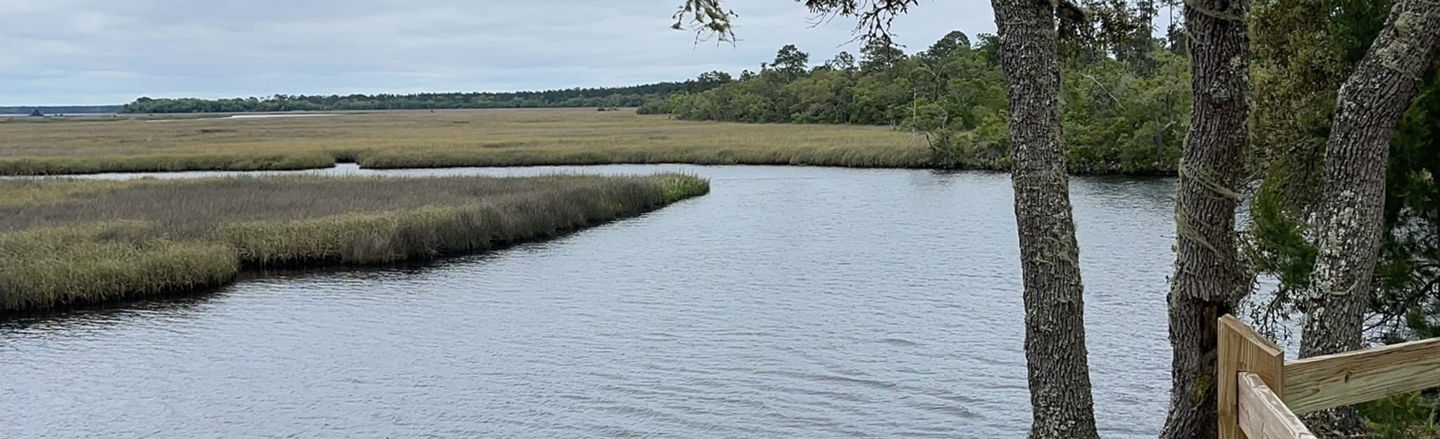 The Bluffs of St. Teresa: 5 Reviews, Map - Florida | AllTrails