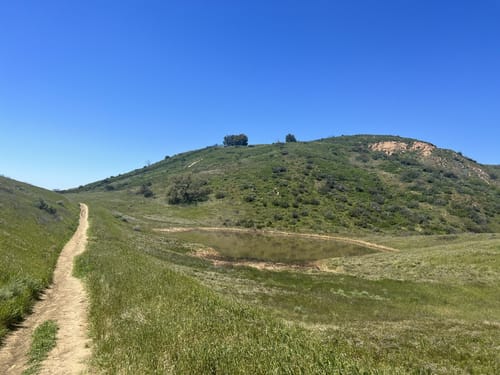 2023 Best trails in Ed Davis Park at Towsley Canyon | AllTrails