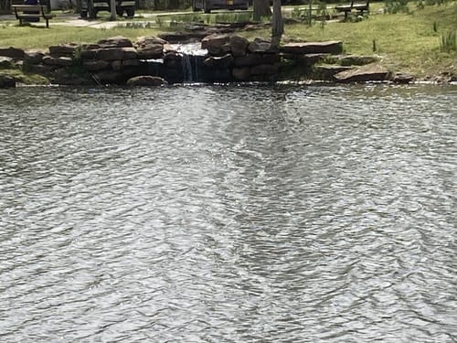 Best Hikes and Trails in Kelly Lane Park | AllTrails