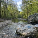 Viles Branch Equestrian Trail, Arkansas - 22 Reviews, Map | AllTrails