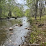 Viles Branch Equestrian Trail, Arkansas - 22 Reviews, Map | AllTrails
